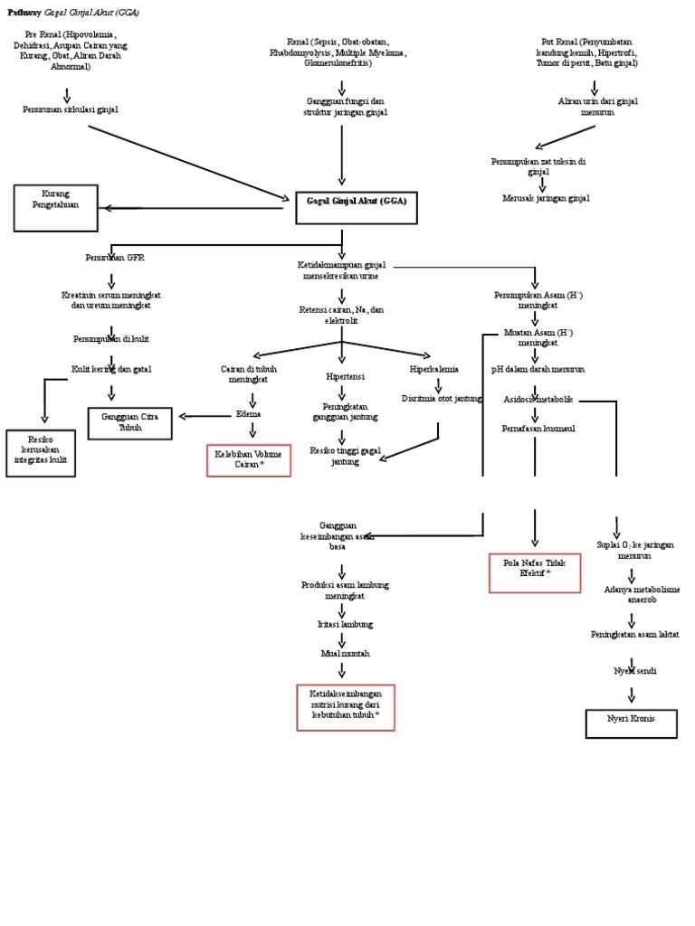 Pathway Gagal Ginjal Akut dan Kronik | PDF
