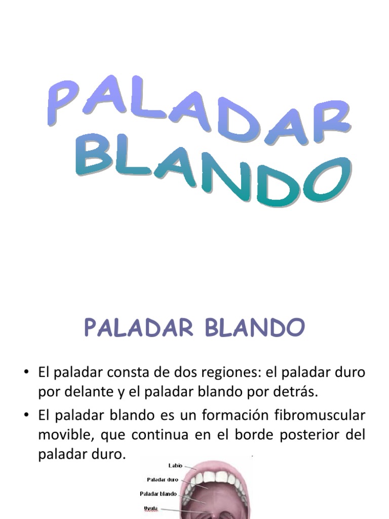 Paladar Blando Glandulas S y Diente | PDF | Ramas de Odontología ...