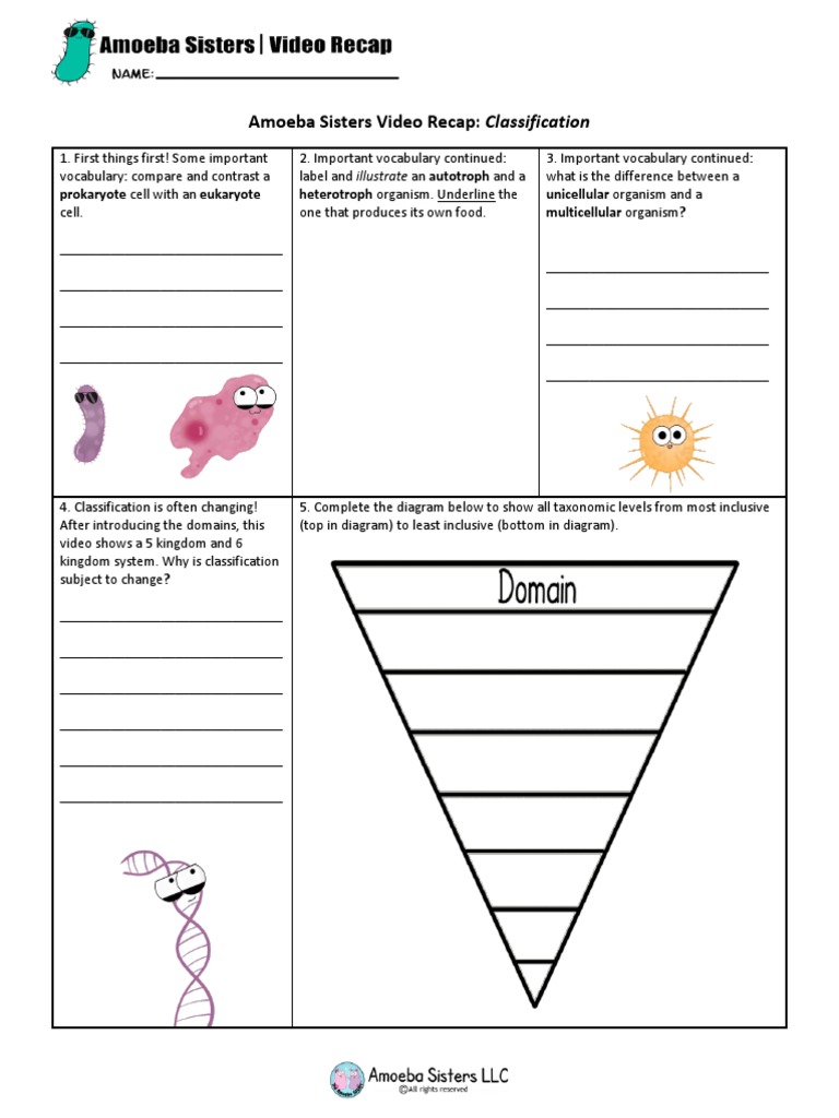 Amoeba Sisters Classification Recap | PDF | Eukaryotes | Organisms