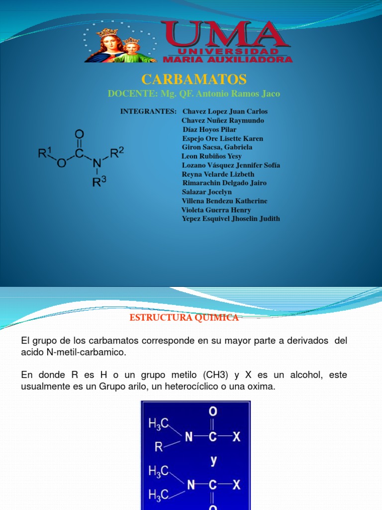 Carbamatos | PDF | Pesticida | Compuestos orgánicos