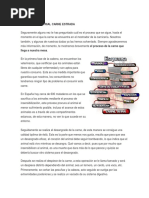 Visita Al Rastro | PDF | Carne | Matadero