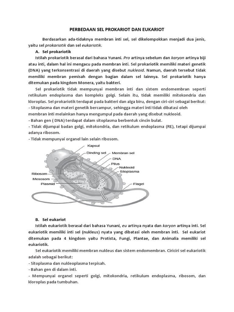 Perbedaan Sel Prokariot Dan Eukariot | PDF