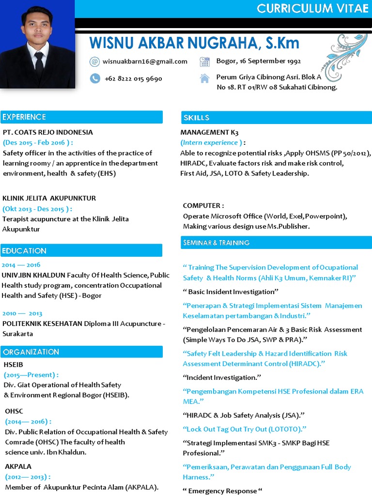 CV - Wisnu A N | PDF | Risk | Quality Of Life
