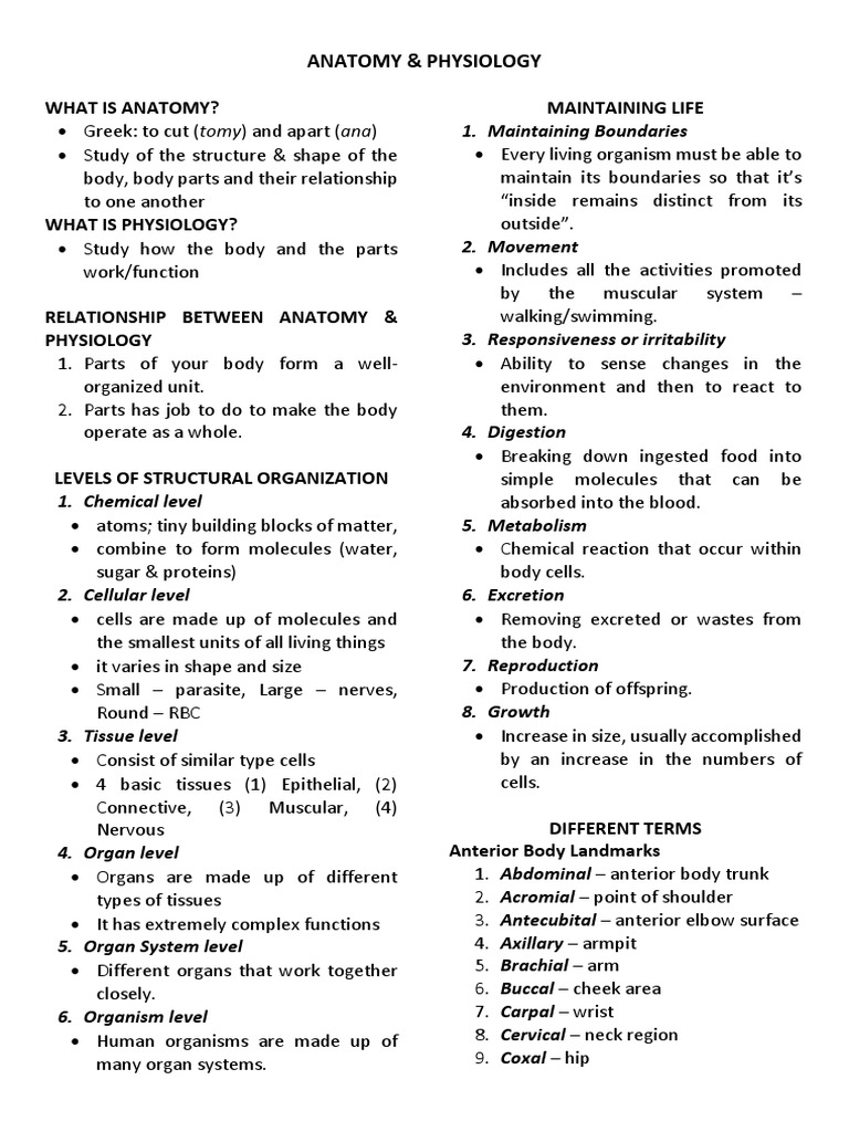 Anatomy Reviewer | PDF | Skin | Epithelium