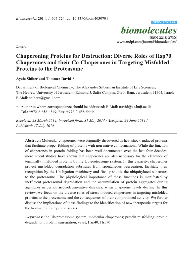 Chaperoning Proteins For Destruction: Diverse Roles of Hsp70 Chaperones ...