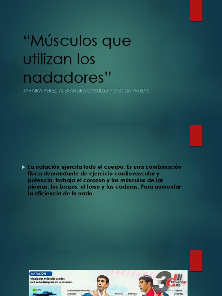 Músculos Clave en Estilos de Natación | PDF | Natación humana | Músculo