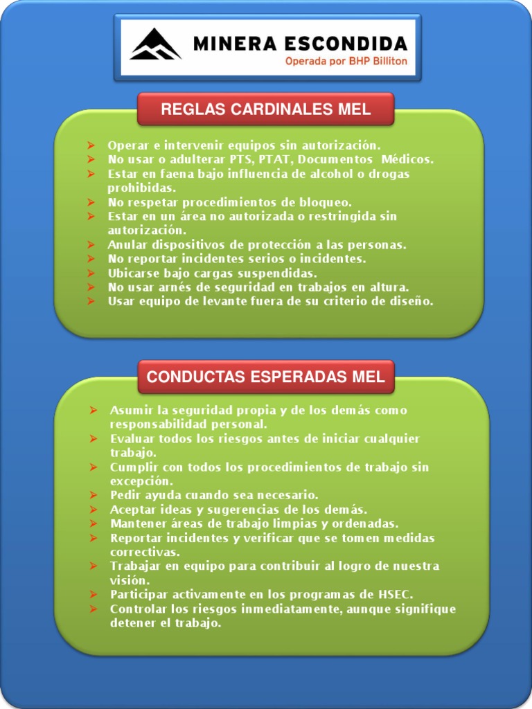 REGLAS CARDINALES MEL