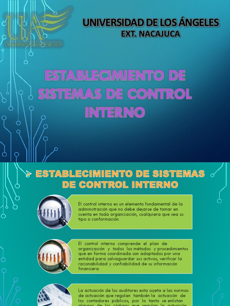 Establecimiento de Sistemas de Control Interno | PDF | Contabilidad | Inversiones