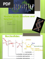 Nucleic Acid Project | PDF | Nucleic Acids | Dna