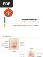 Peds-vSim - Guided Reflection Questions - Jackson Weber | PDF | Coma ...