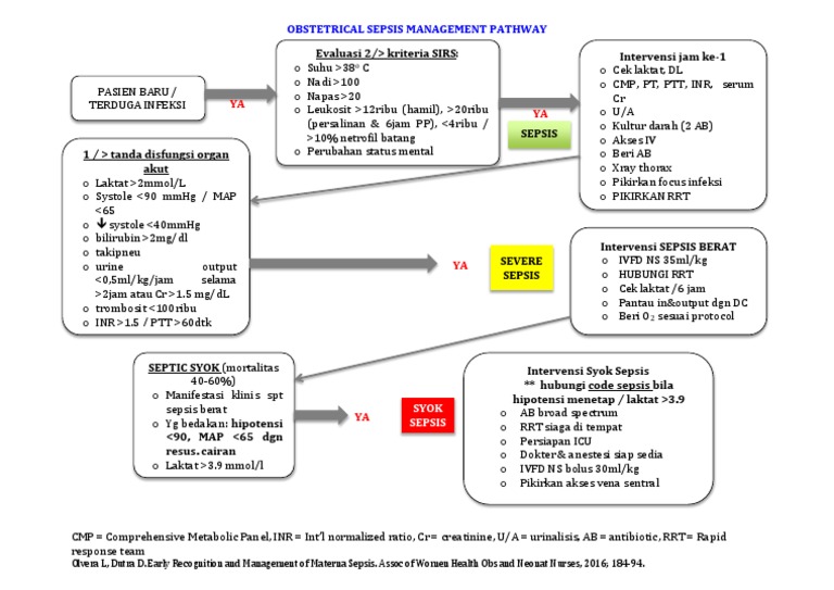 Algoritma Sepsis | PDF