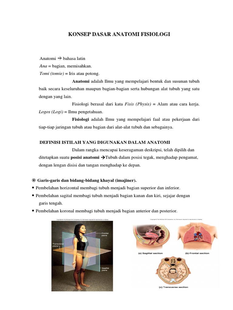 Konsep Dasar Anatomi Fisiologi | PDF