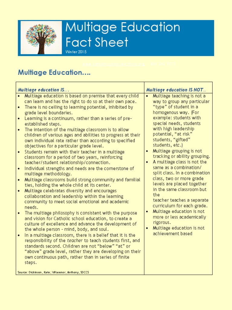 Multiage Facts Sheet 2015 | PDF | Self Esteem | Teachers