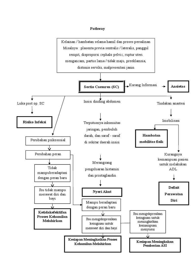 Pathway Post SC | PDF