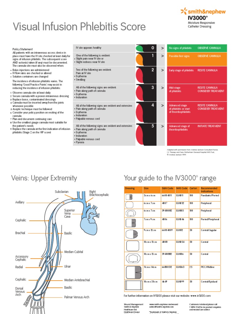Visual Infusion Phlebitis Score PDF | PDF | Intravenous Therapy ...