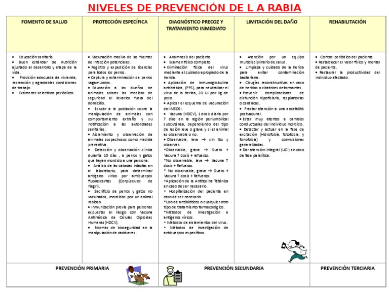 Niveles de Prevencion de La Rabia | PDF | Rabia | Salud pública