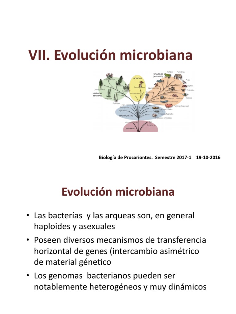 Evolución Microbiana | PDF | Gene | Recombinación genética