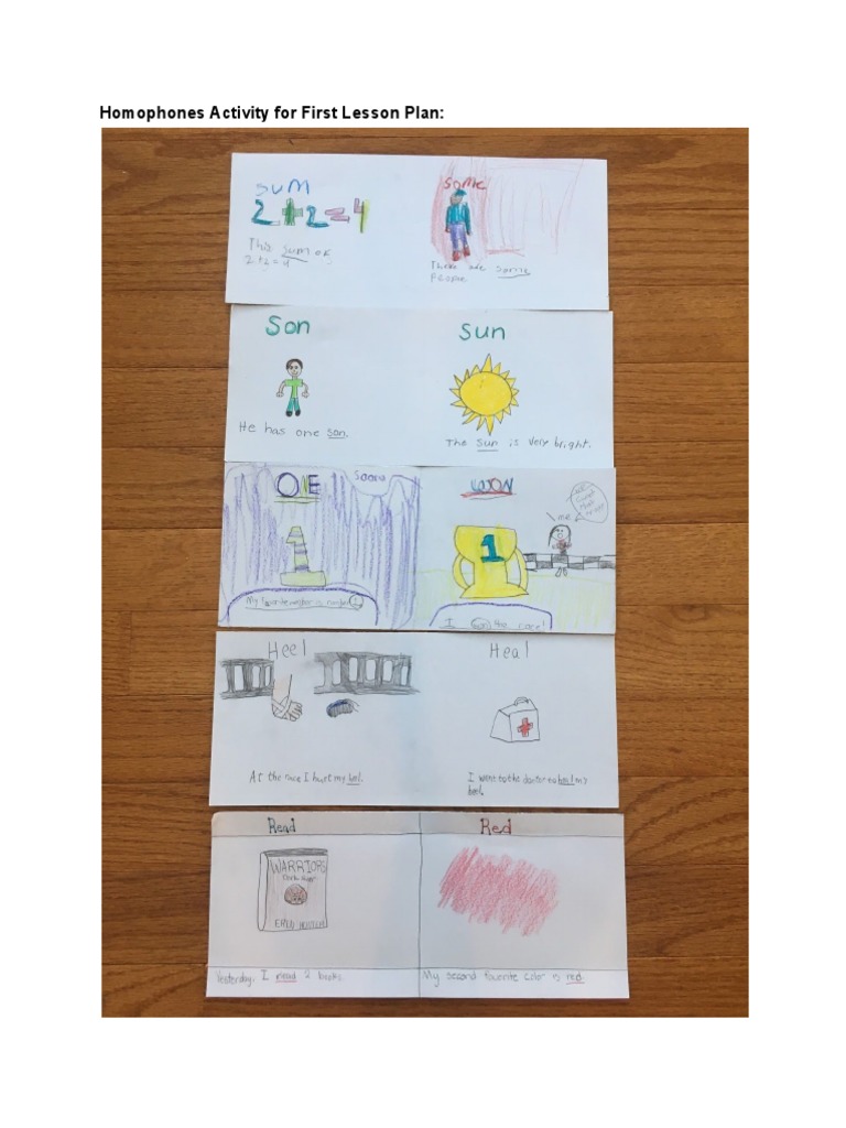 First Lesson Plan: Homophones Activity | PDF