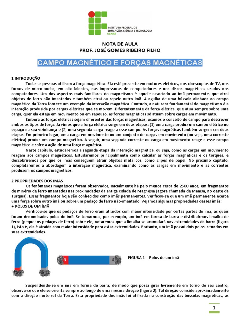 Campo Magnetico e Forca Magnetica | PDF | Magnetismo | Campo magnético