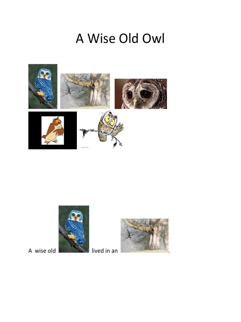 Wisdom of the Old Owl | PDF