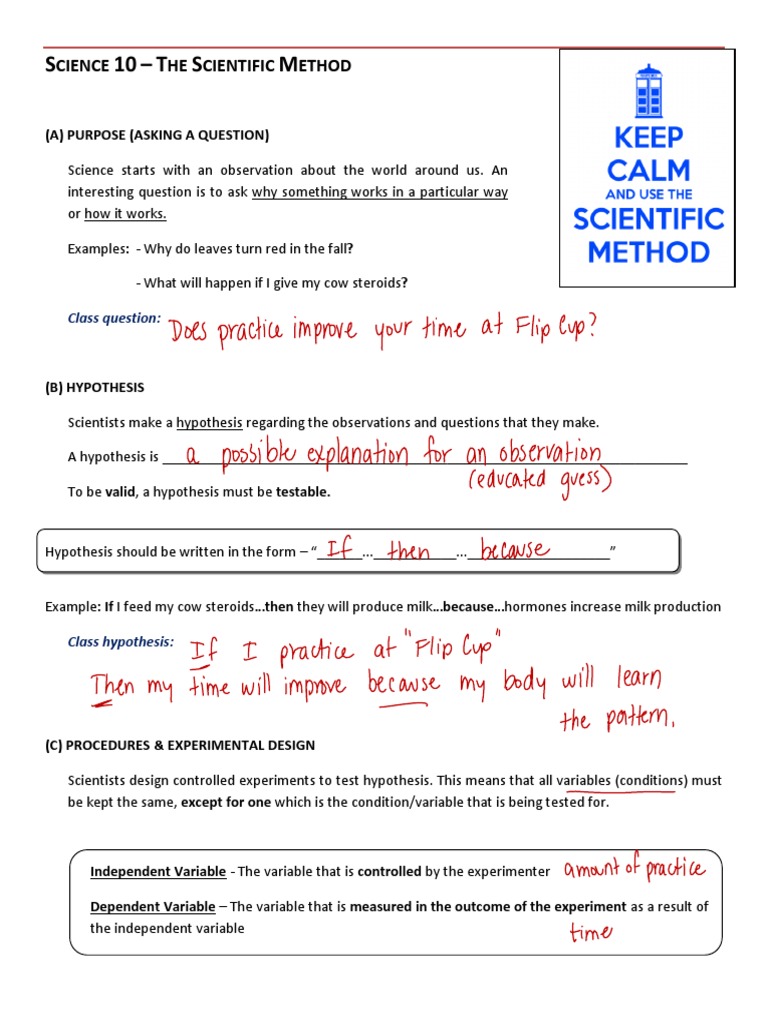 03 - Scientific Method Notes 2014 Flip Cup Key | PDF | Scientific ...