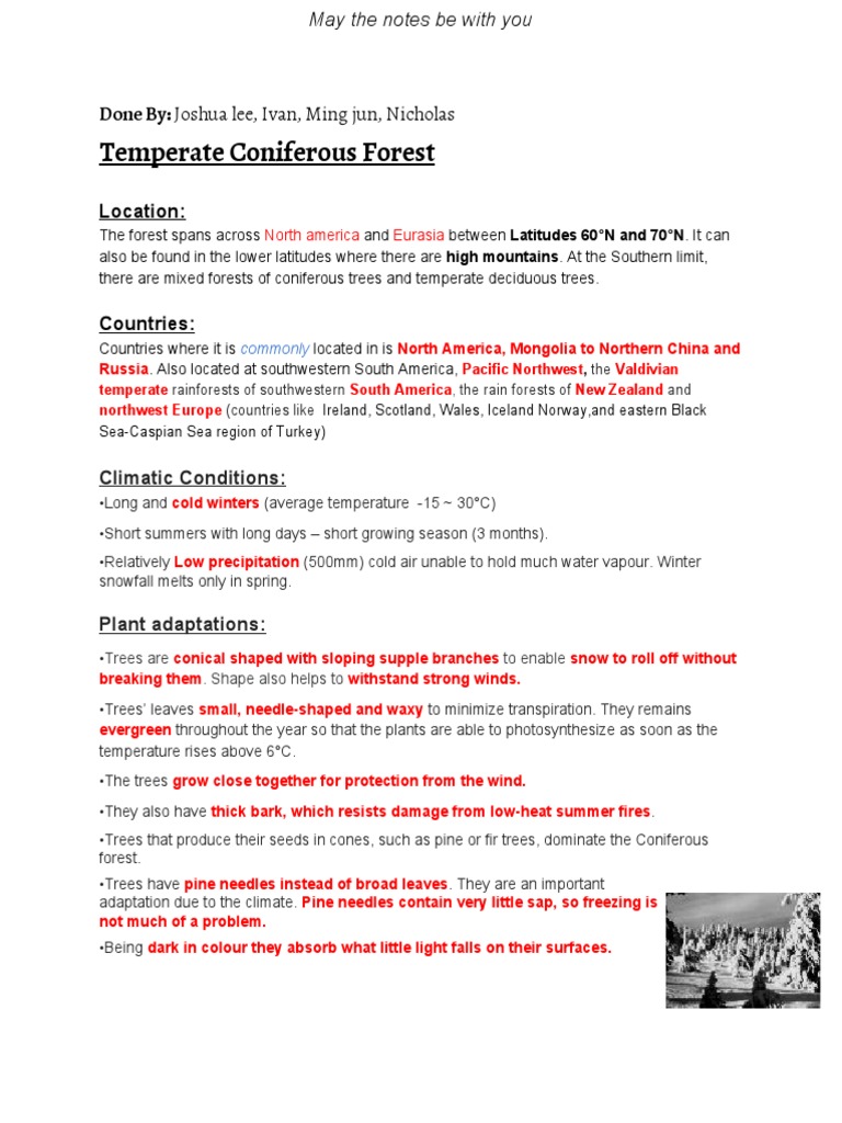 Coniferous Forest Notes | PDF | Habitat | Biogeography