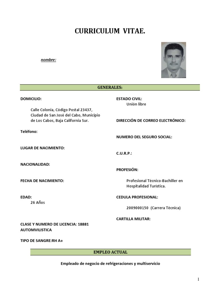 Curriculum Vitae Lupillo 1 | PDF | Educación avanzada | Business