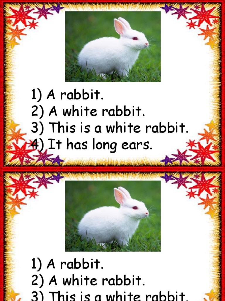 Characteristics of a White Rabbit | PDF | Science & Mathematics