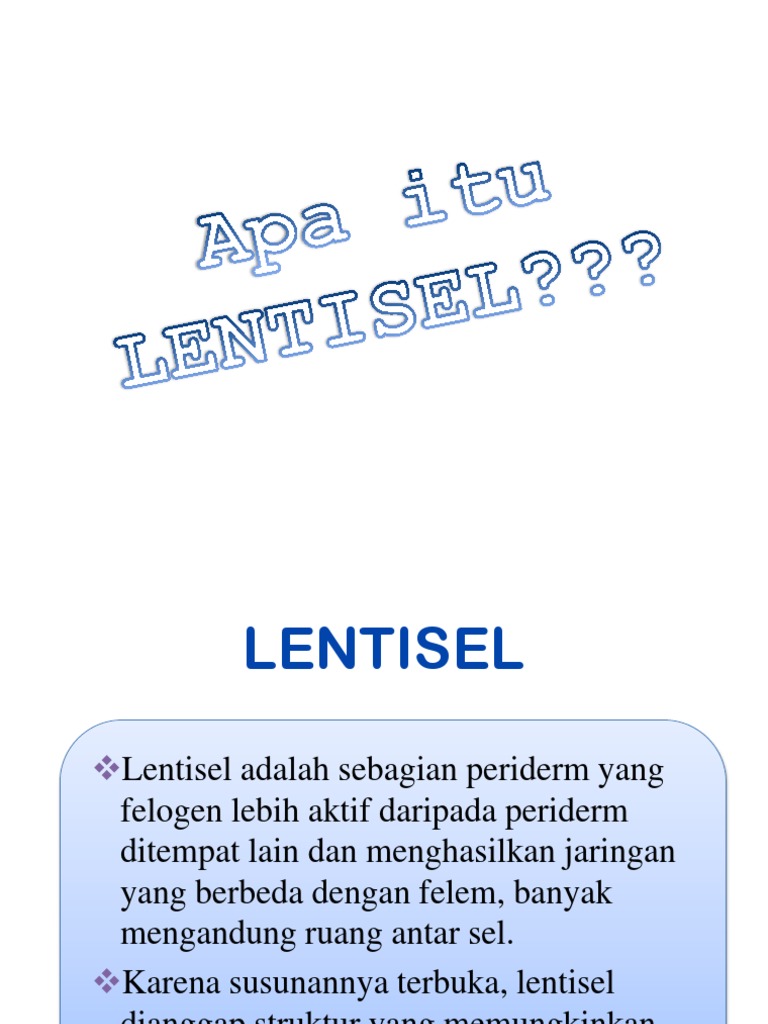 Lentisel | PDF