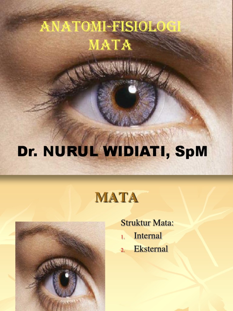 Anatomi-Fisiologi Mata | PDF | Griya & Taman | Kesehatan Holistik