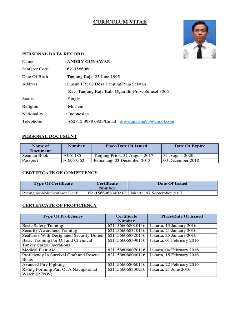 A Comprehensive Curriculum Vitae for Andry Gunawan | PDF