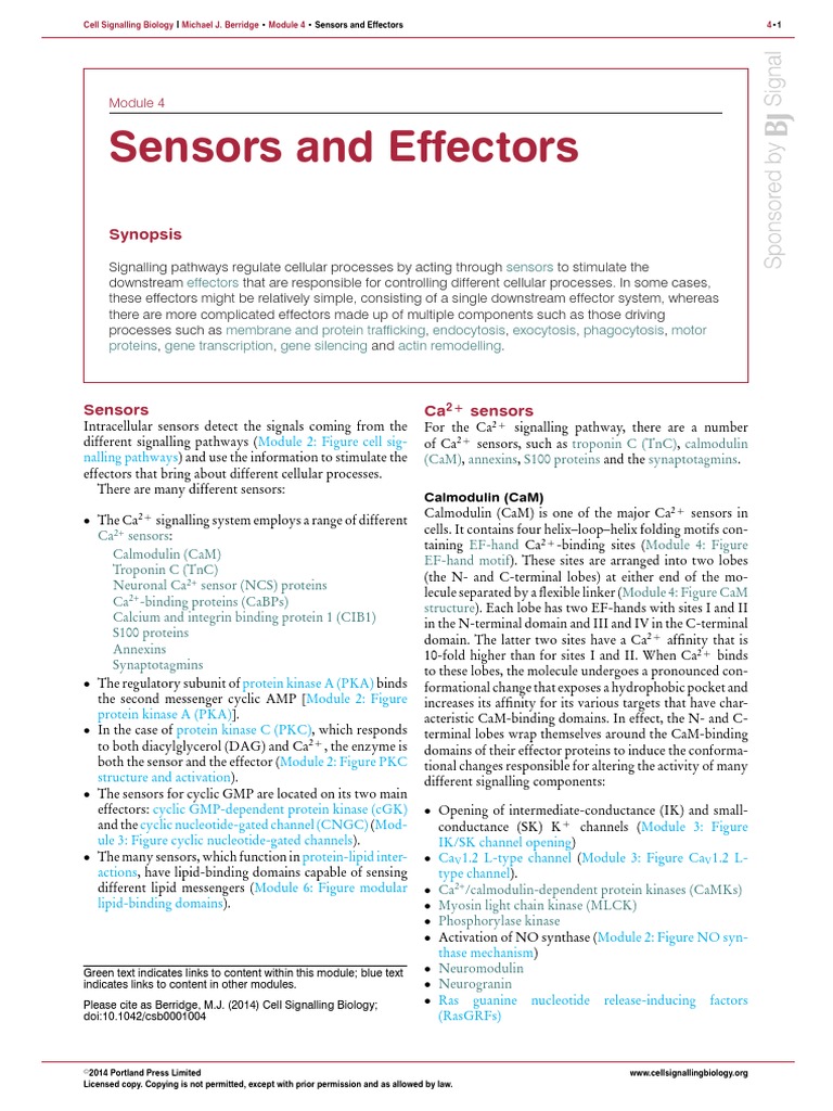 004 Sensors and Effectors | PDF | Calcium In Biology | Cell Membrane