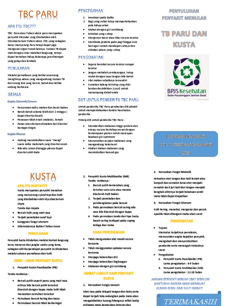 Leaflet TB Kusta | PDF