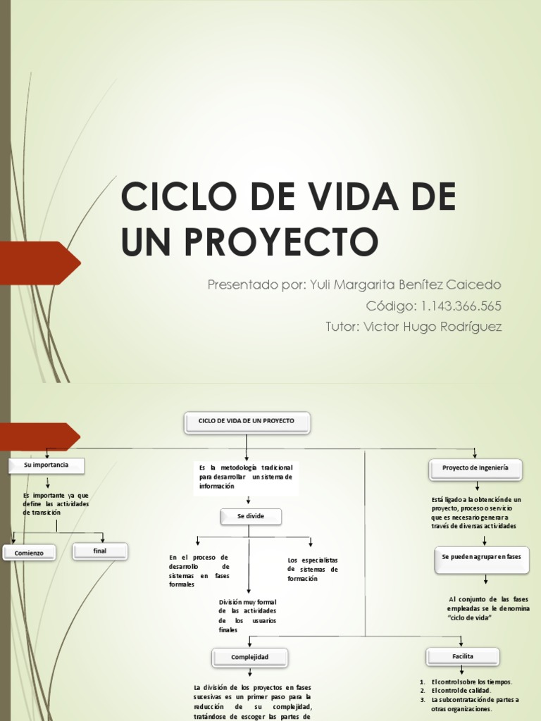 Ciclo De Vida De Un Proyecto Pdf Pdf Proceso De Desarrollo De