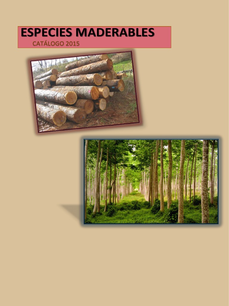 Catalogo de Maderas - 11 | PDF | Plantas | Horticultura y jardinería