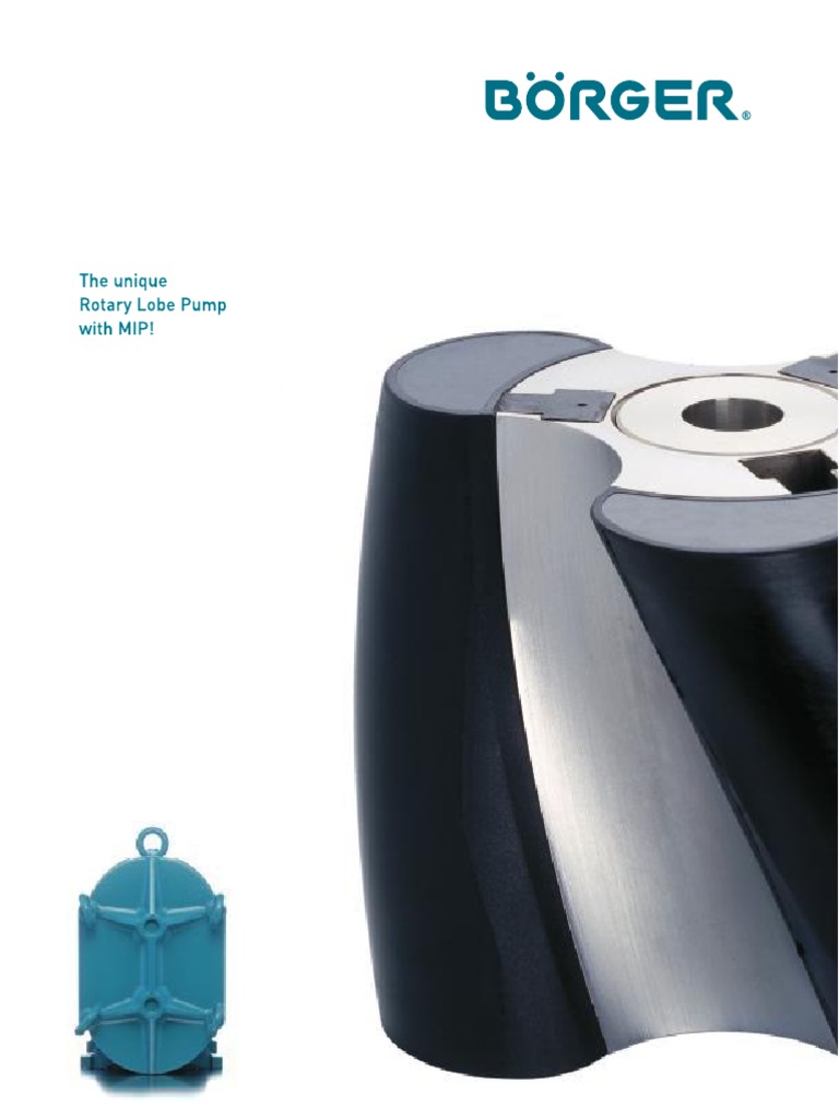 Borger FL PUMP SERIES | PDF