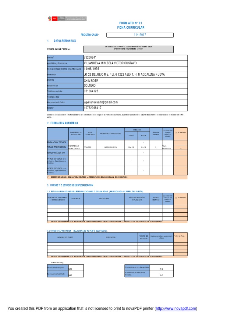 Ficha Curricular PDF | PDF