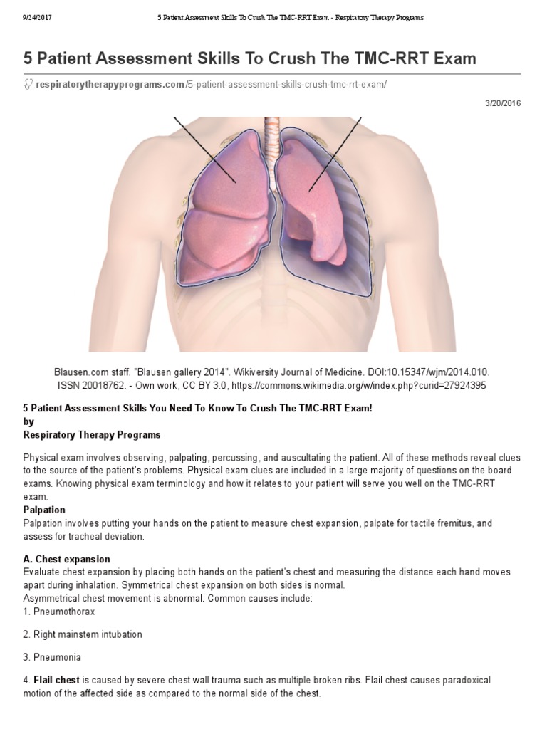 5 Patient Assessment Skills To Crush The TMC-RRT Exam | PDF | Lung | Thorax