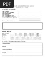 Rapid Damage Assessment and Needs Analysis Initial Report | PDF ...