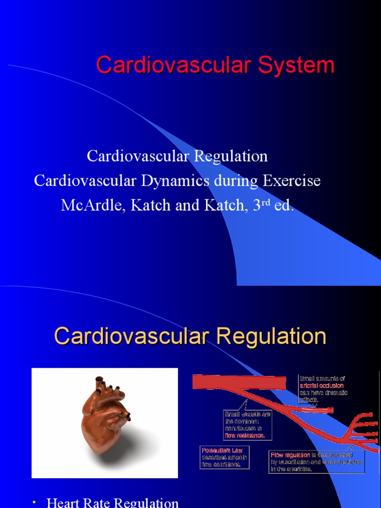 Cardiovascular Regulation | PDF | Heart | Heart Rate