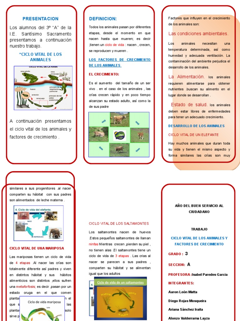 Triptico AARON Ciclo Vital de Los Animales | PDF | Adultos | Bienestar