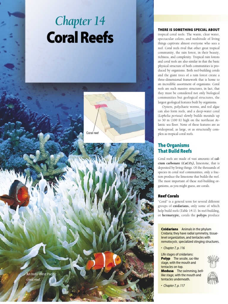 Coral Reefs: Structure and Organisms | PDF | Coral | Coral Reef