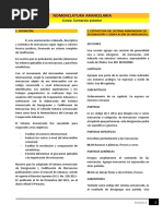 Nomenclatura ALADI - NALADISA (Introducción) | PDF | Taxonomía ...