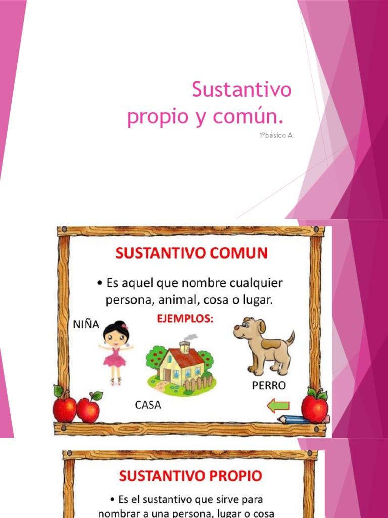 Sustantivo Propio y Comun PRIMERO BASICO | PDF