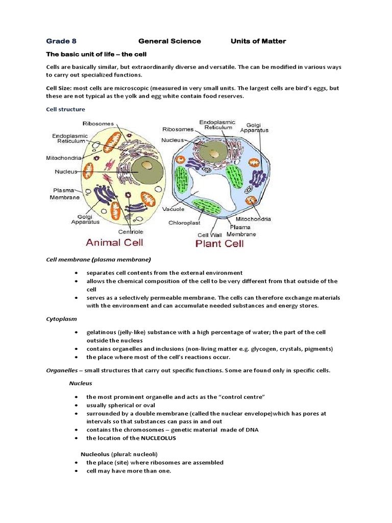 Grade 8general ScienceUnits of Matter | PDF | Endoplasmic Reticulum ...
