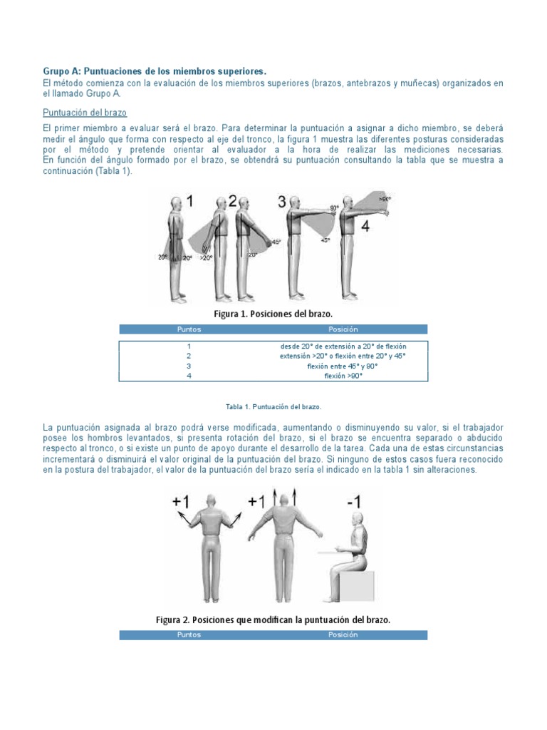 Formato Rula | PDF | Factores humanos y ergonomía | Músculo