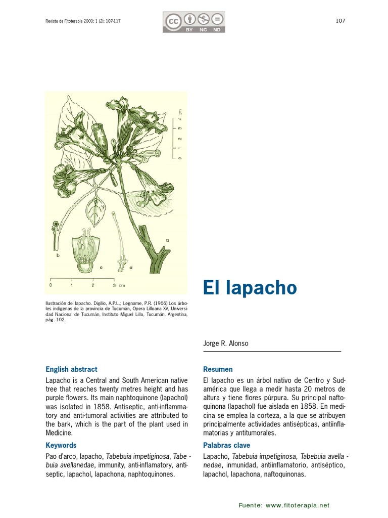 Lapacho PDF | PDF | Inhibidor de la enzima | Quimioterapia
