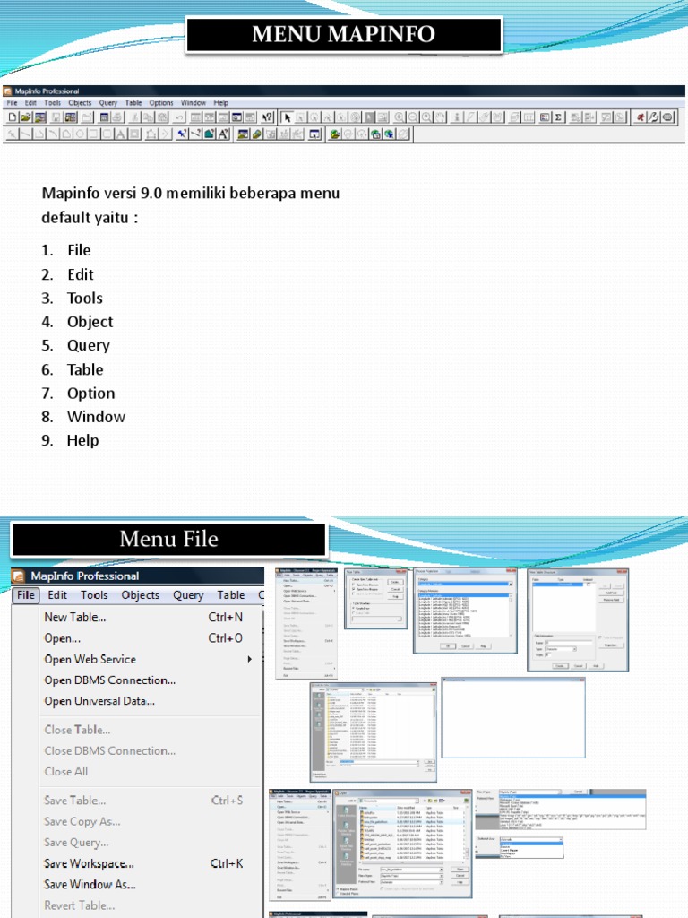 Menu Overview for MapInfo 9.0 | PDF | System Software | Application ...
