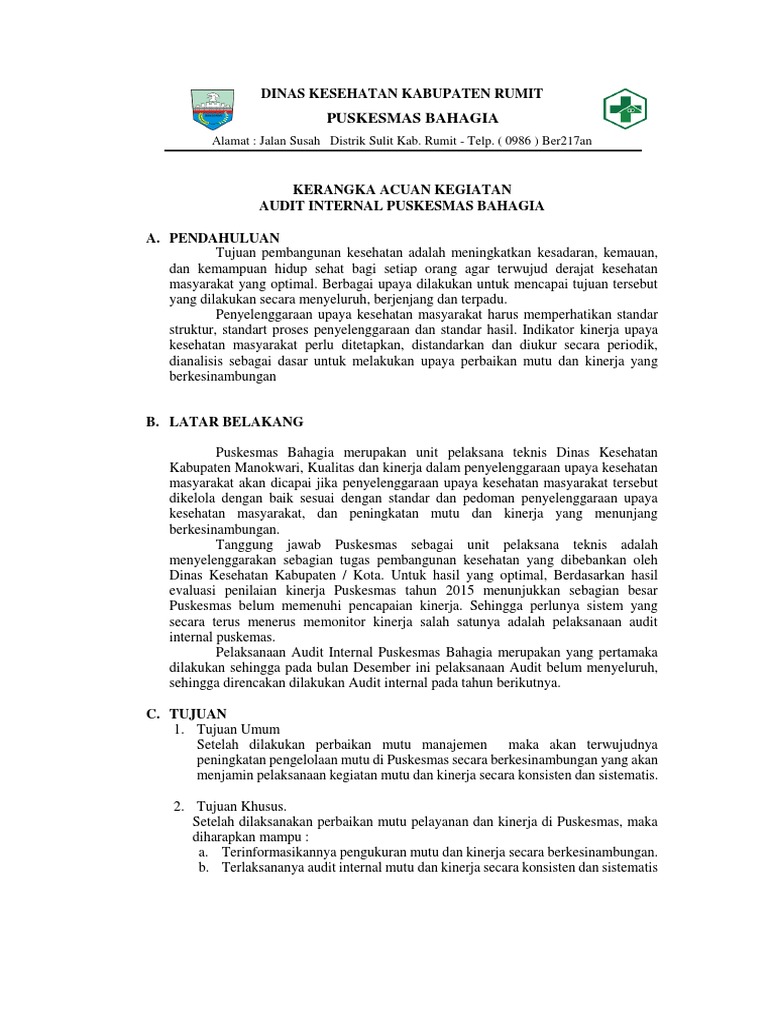 Kak Audit Internal | PDF