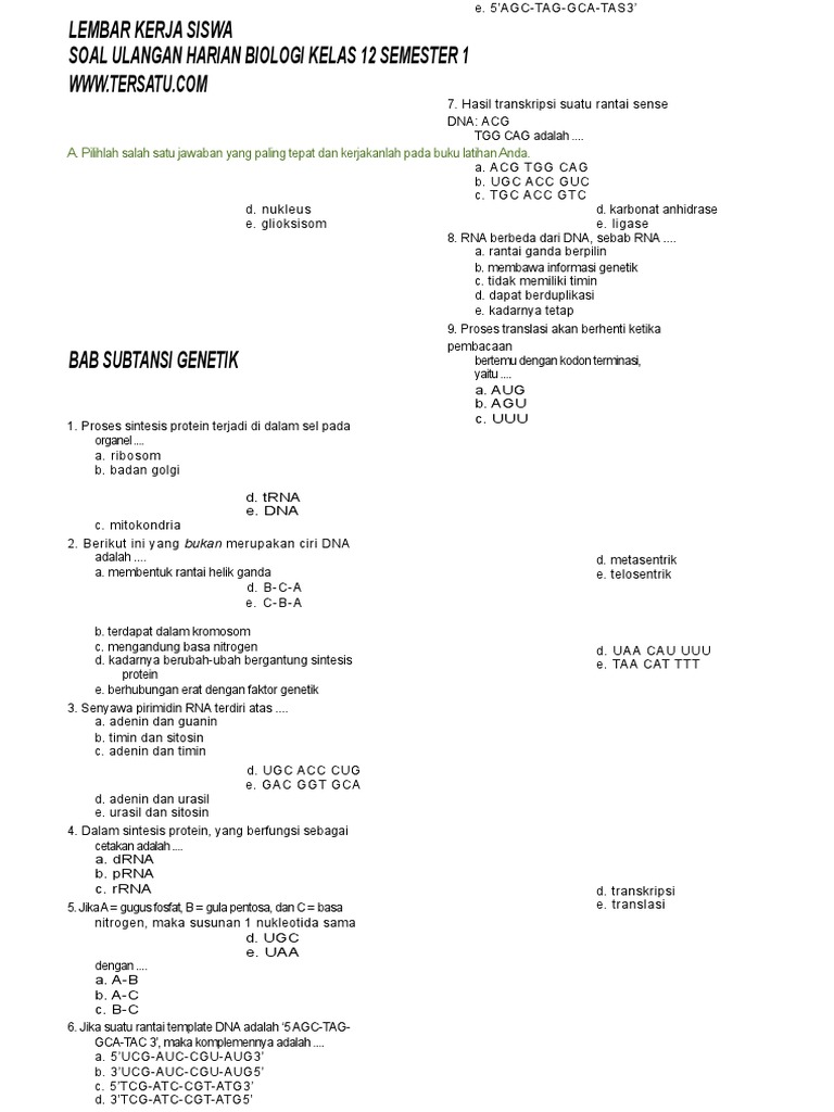 Soal Uh Biologi Kelas 12 Bab Subtansi Genetik Semester 1 | PDF